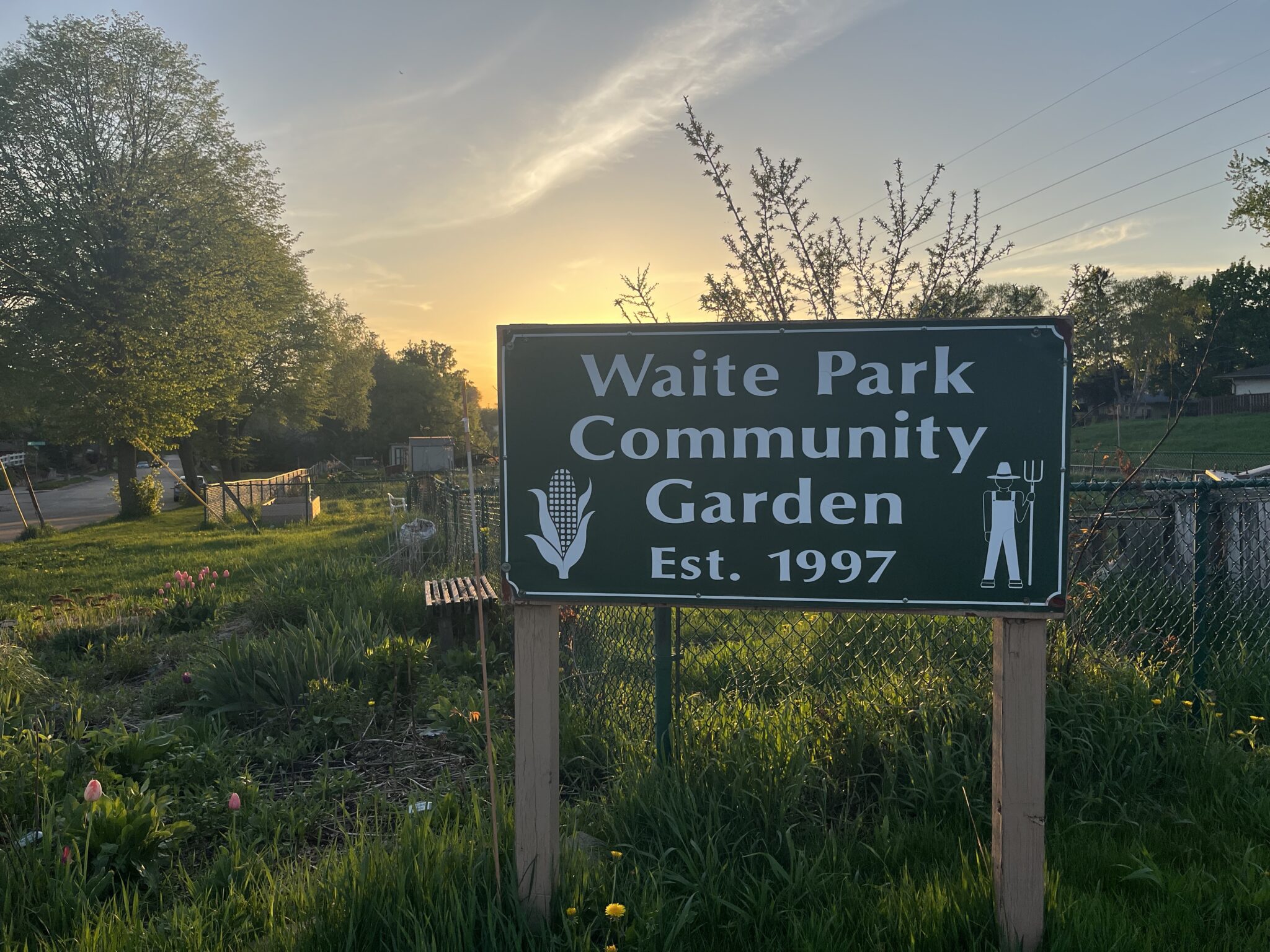 Waite Park Community Garden – Waite Park Community Garden is maintained ...